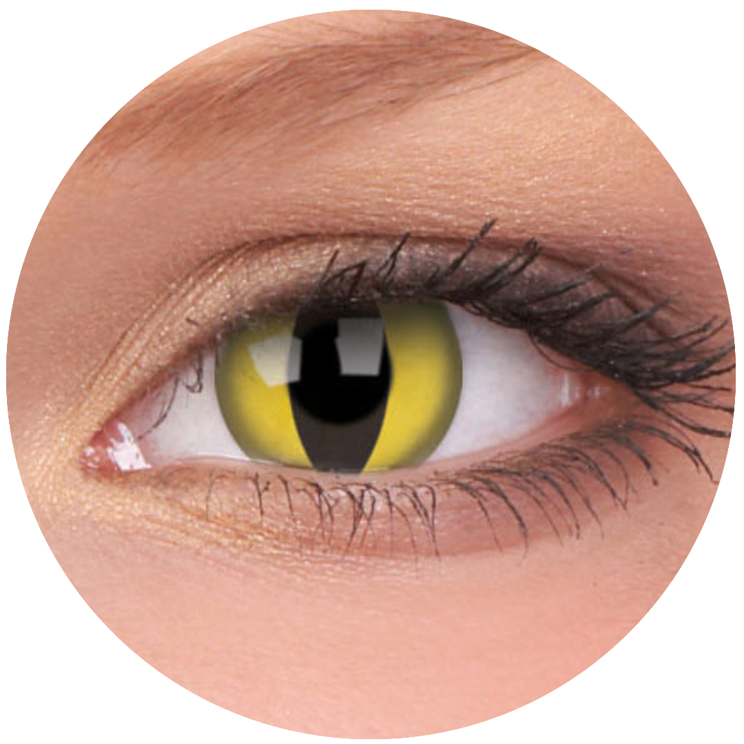 Yellow Cat / Cat Eye Contact Lenses – LENS FX