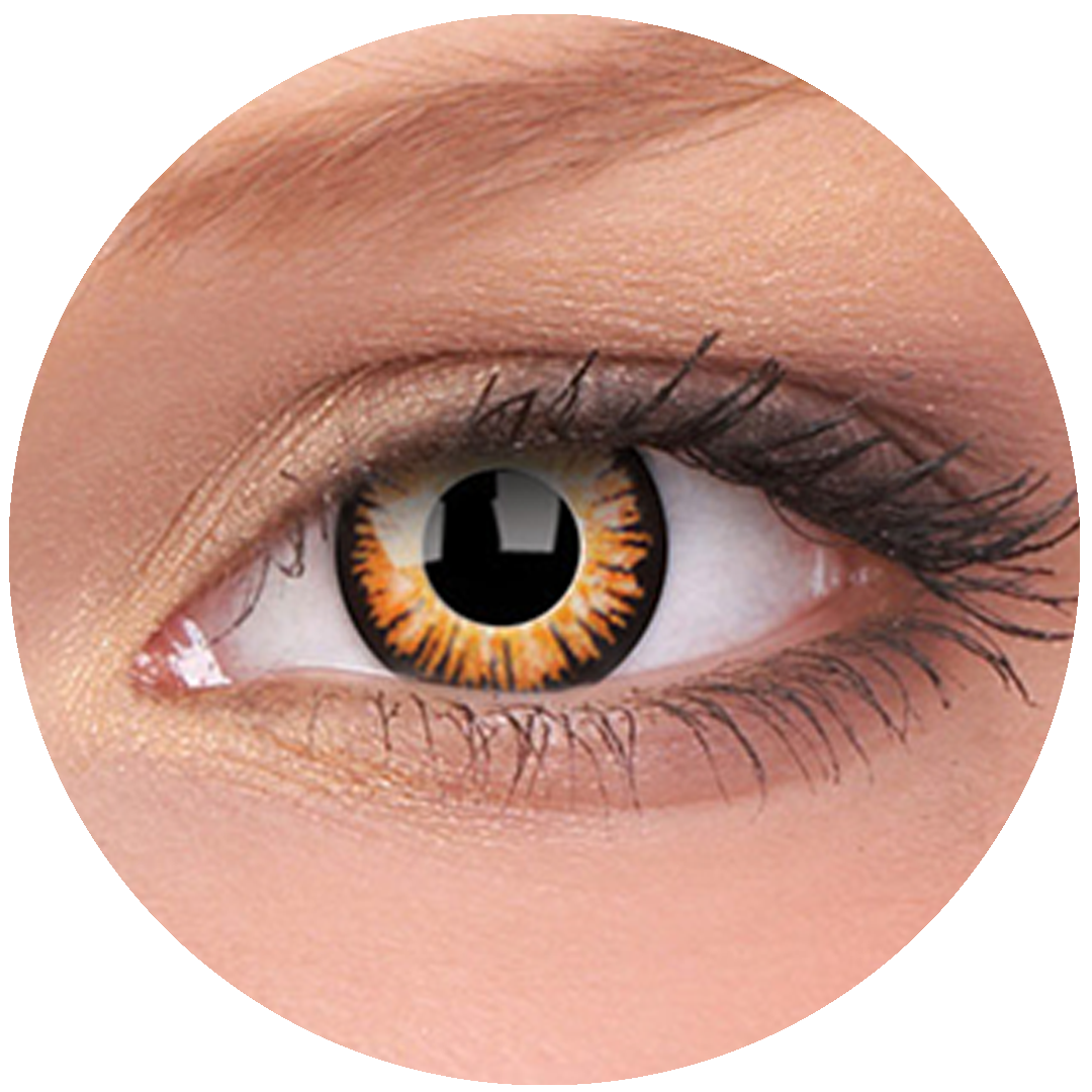 One Day Twilight Contact Lenses – LENS FX