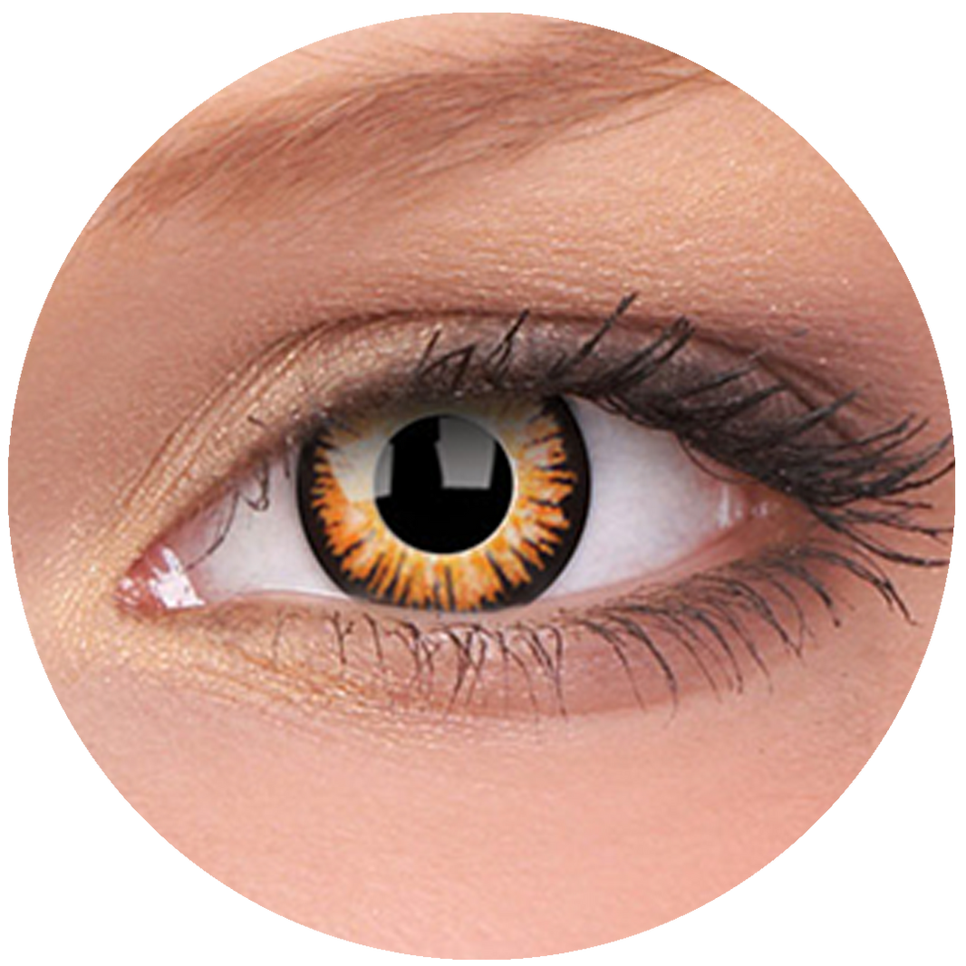 LENSFX: New Zealand's #1 Choice for Costume Contact Lenses – LENS FX