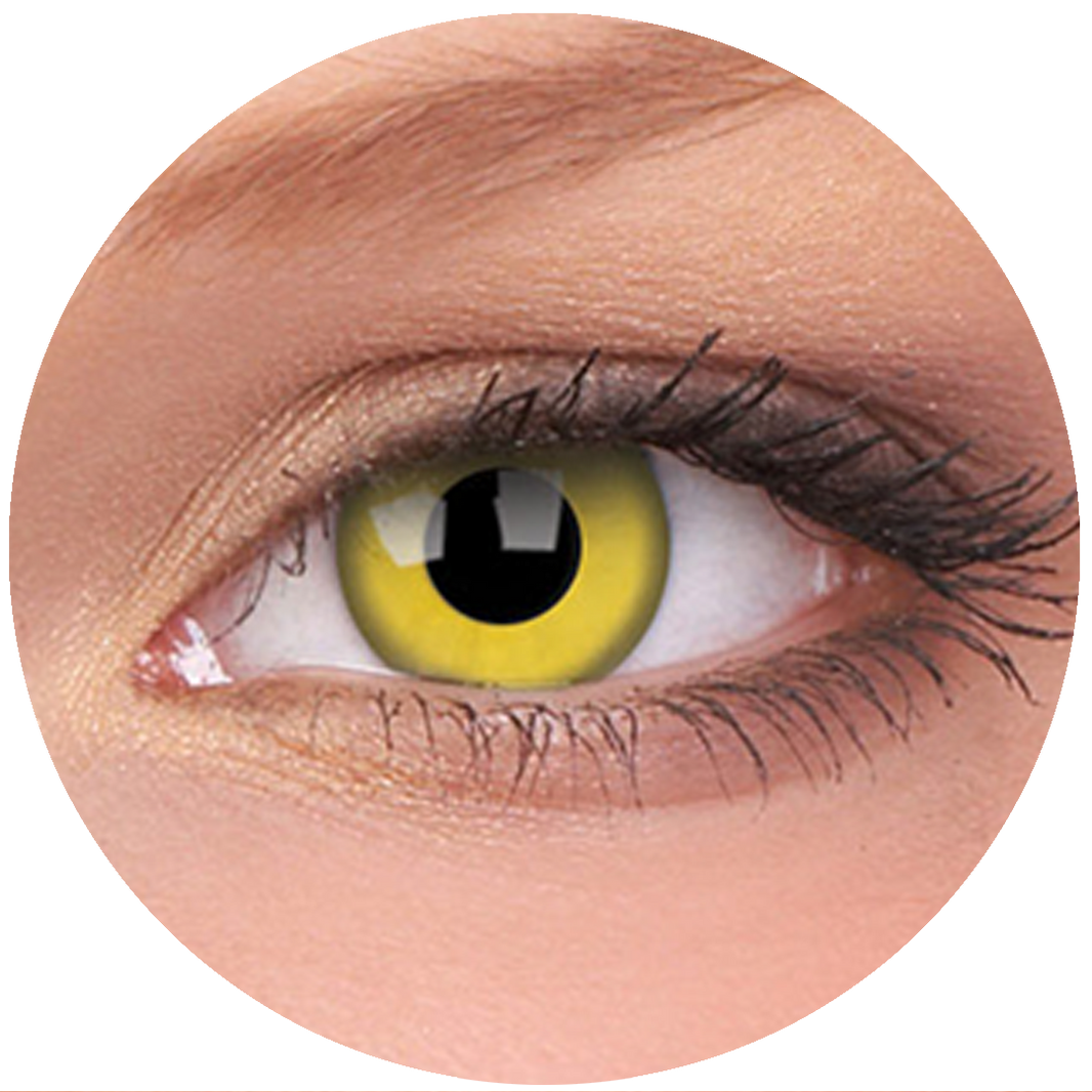 Yellow Contact Lenses – LENS FX
